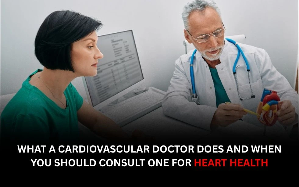 What a Cardiovascular Doctor Does and When You Should Consult One for ...